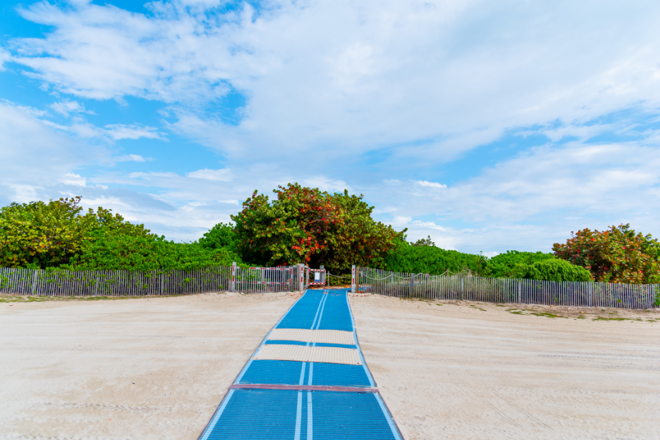 Outdoor Activities For Disabled Adults BLOG